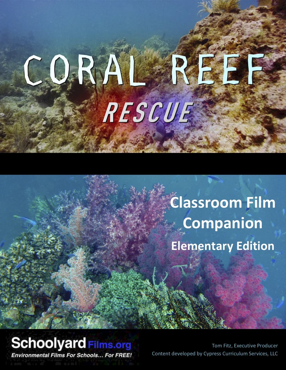 Films and Study Guides — Schoolyard Films