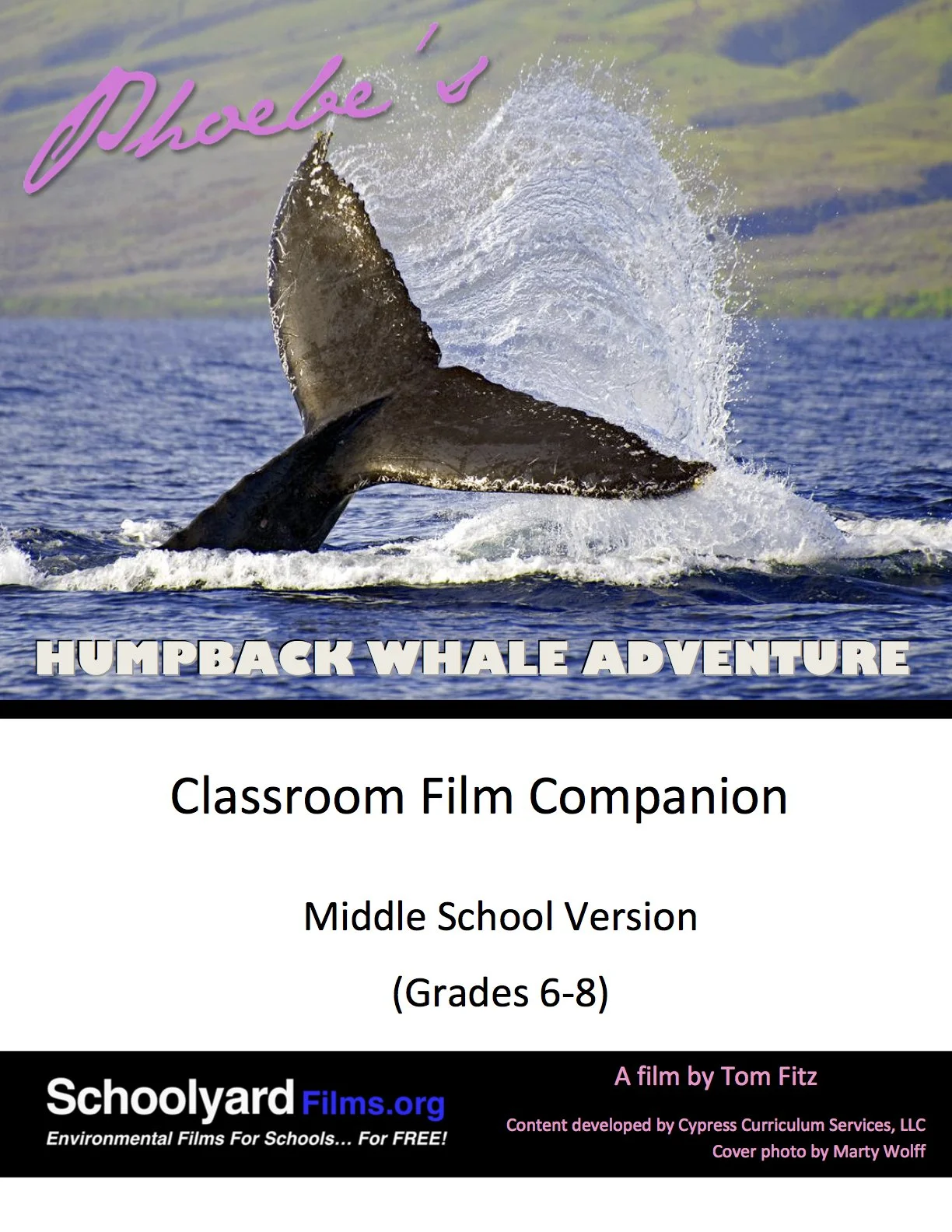 Films and Study Guides — Schoolyard Films