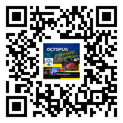 Octopus SUPERHERO of the Sea — Schoolyard Films