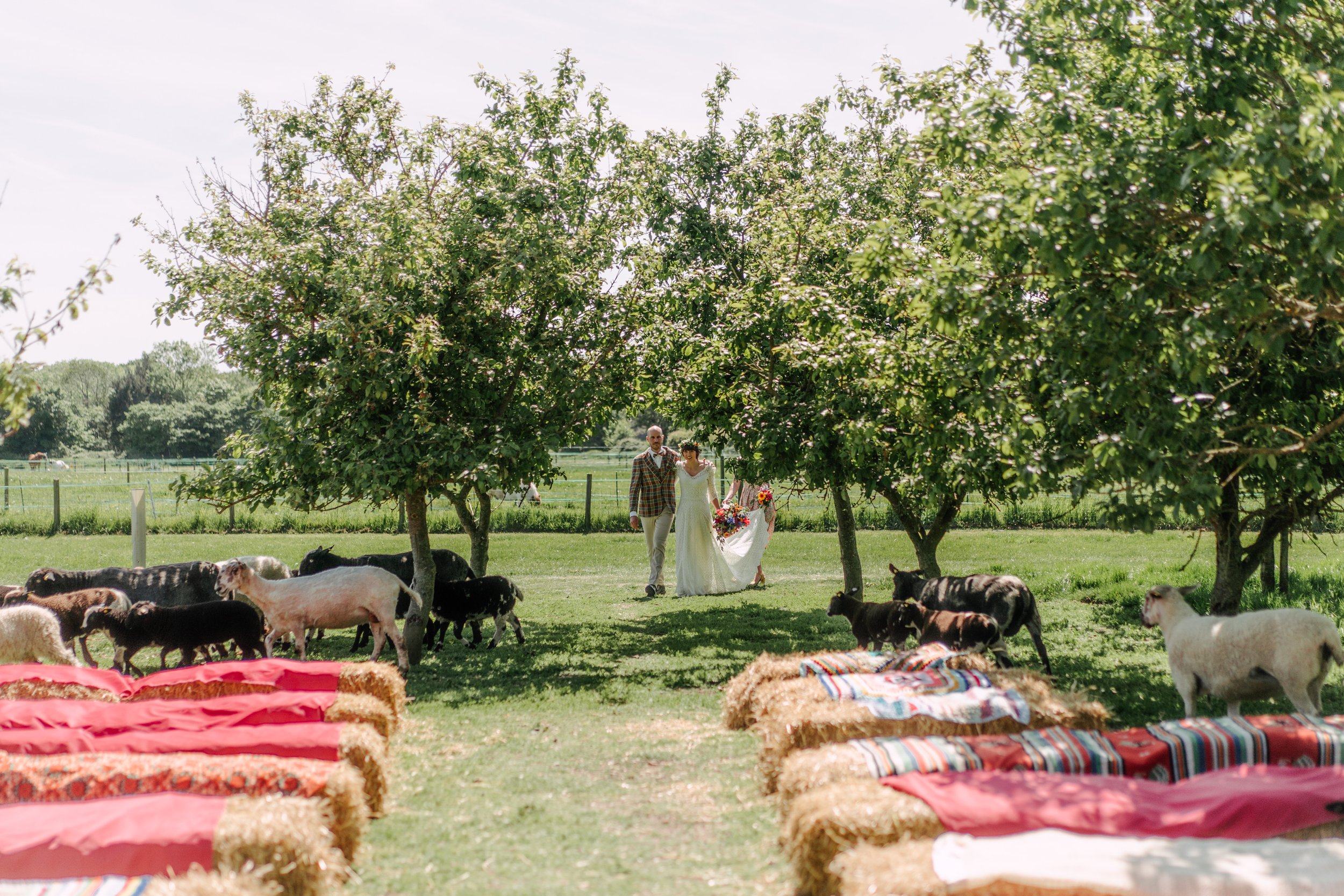 Warbourne Farm Wedding Photography — Documentary Wedding Photographer ...