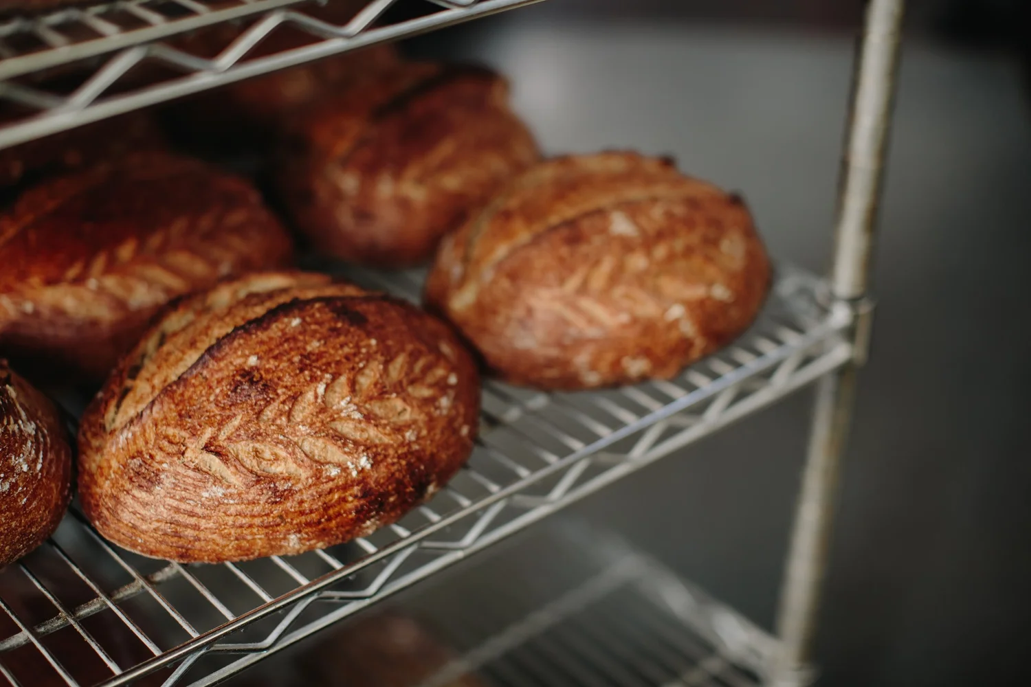 BREAD — RIVER ROCK COFFEE & TEA