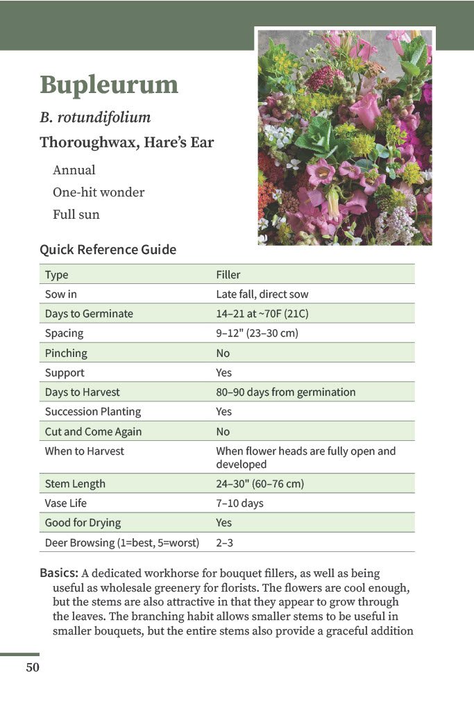 Field Guide to Specialty Cut Flowers | Grow Beautiful Blooms Today ...