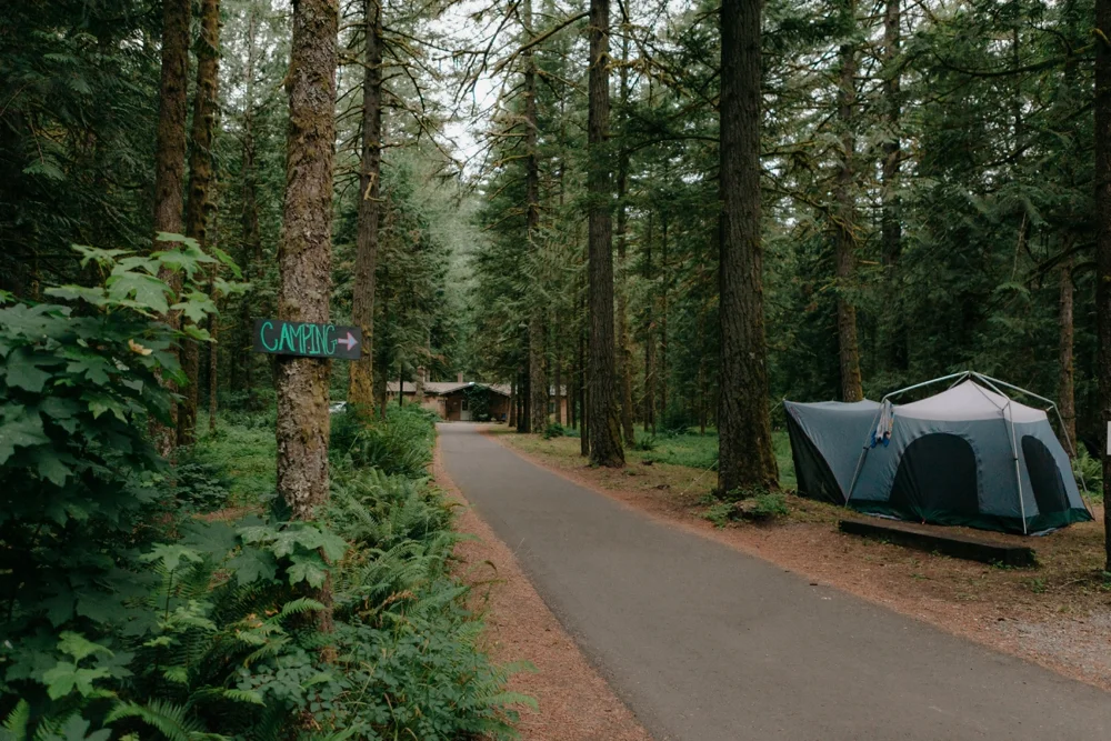 Camp Angelos Summer Camp Wedding || Chelsea Terry Photography