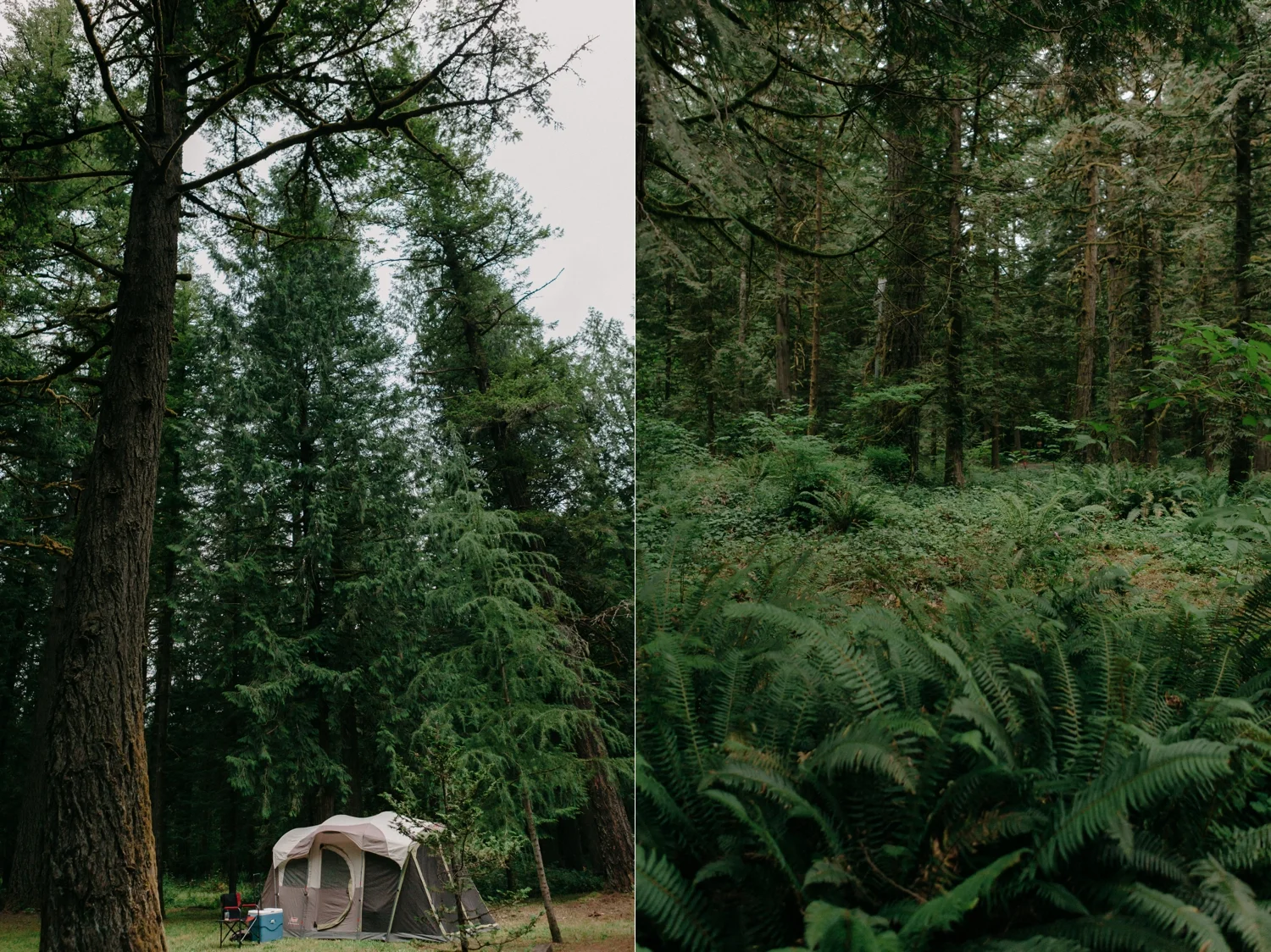 Camp Angelos Summer Camp Wedding || Chelsea Terry Photography