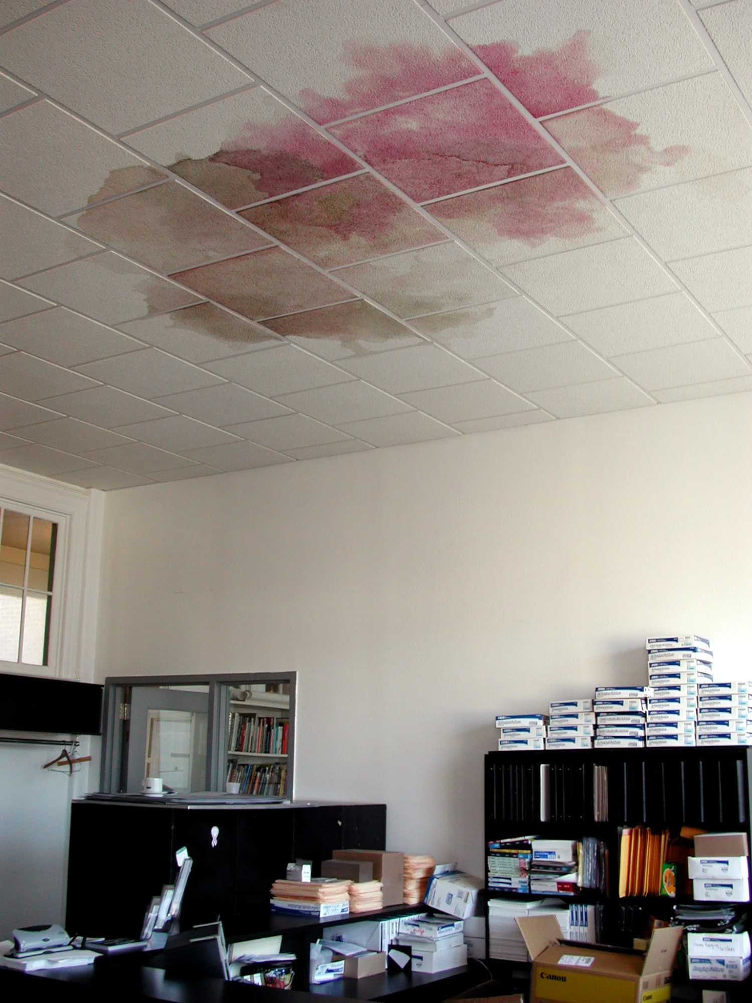 SHANE CAMPBELL GALLERY — Jay Heikes - Artist Page