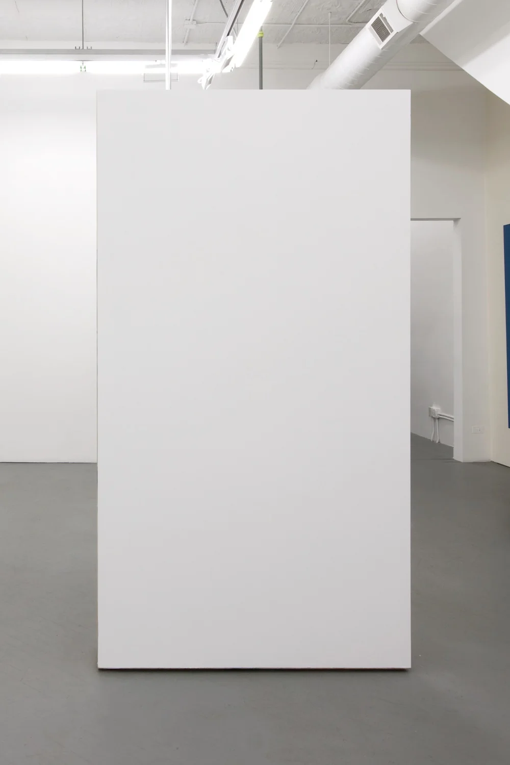 SHANE CAMPBELL GALLERY — Paul Cowan, Brendan Fowler, Chadwick Rantanen ...