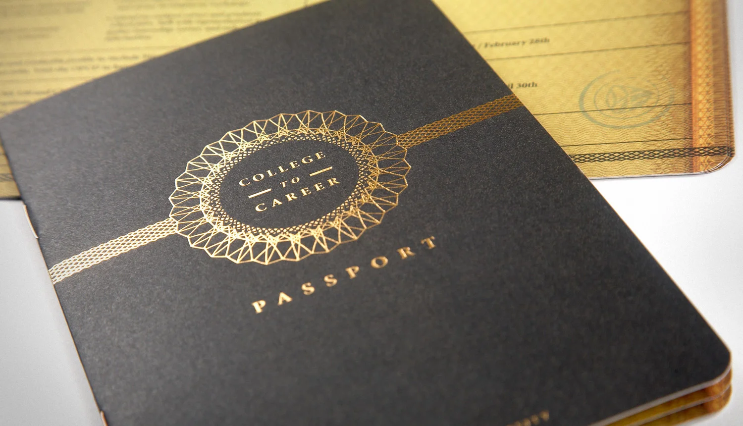 Professional Brand Design Services | Roost Designs