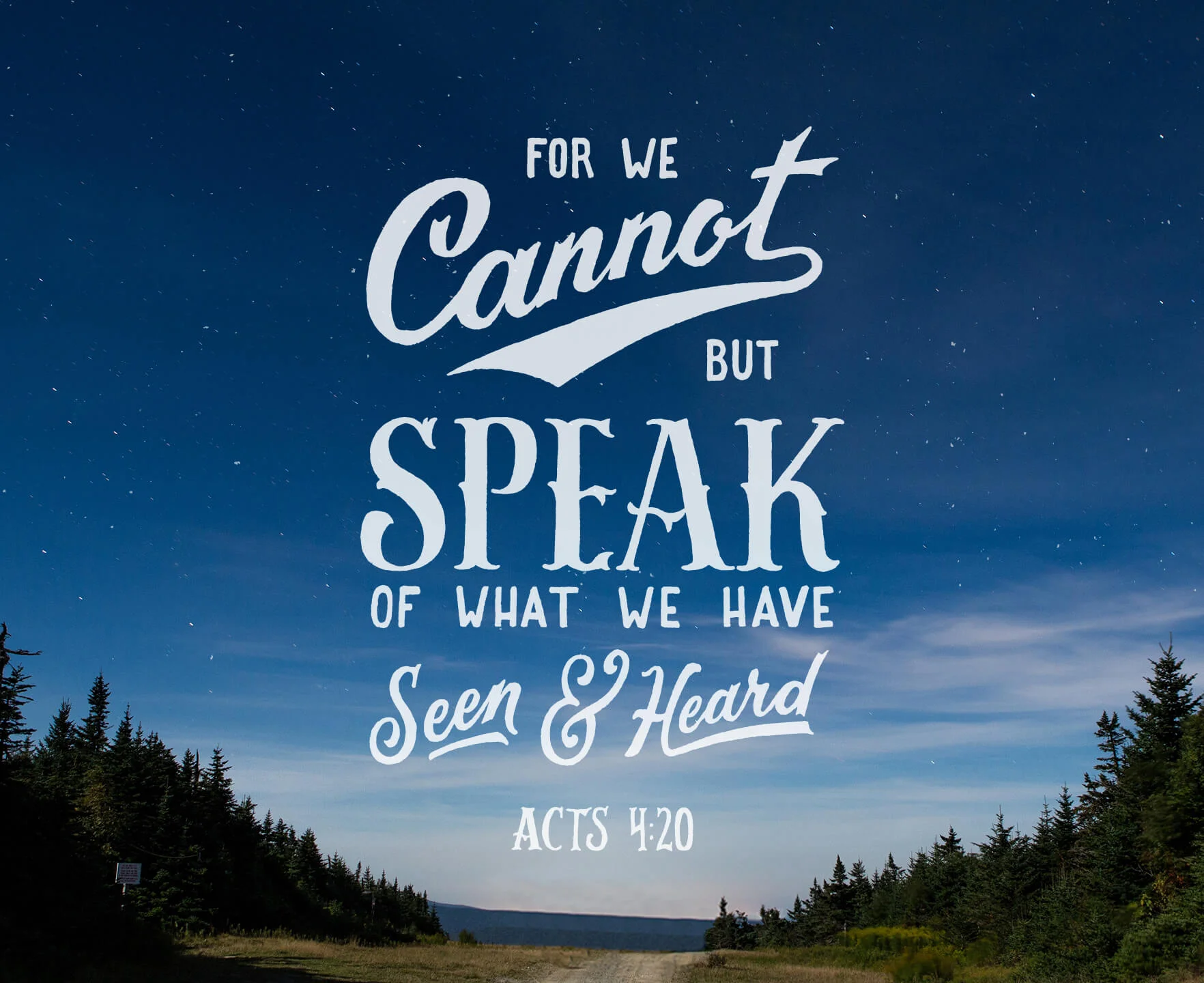 Acts 4 20 Scripture Type Acts 4 20 Scripture Type