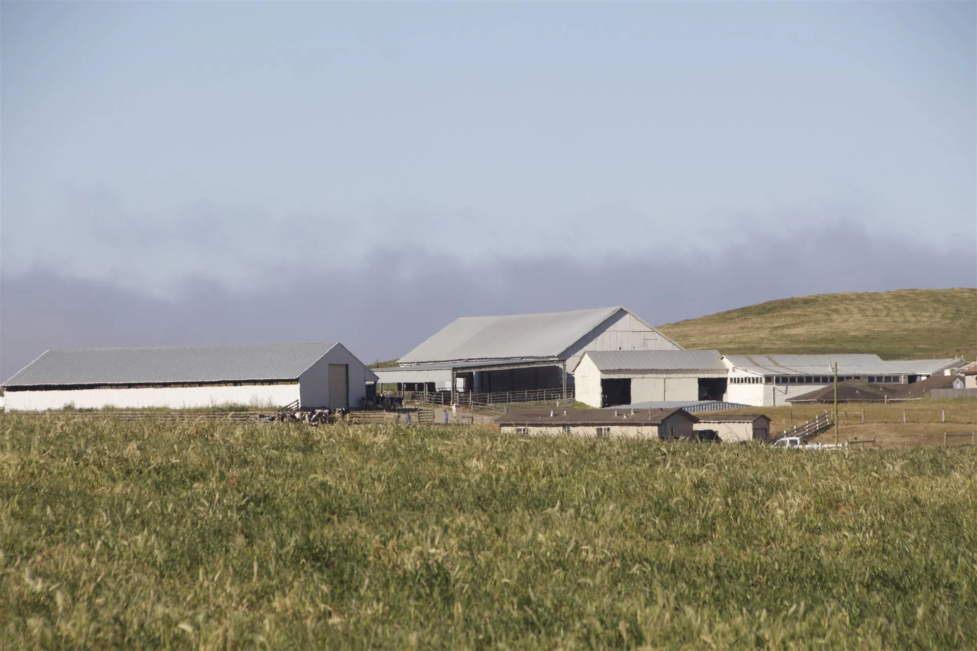 FEATURED LOCATION: Pierce Point Ranch — LocationsHub