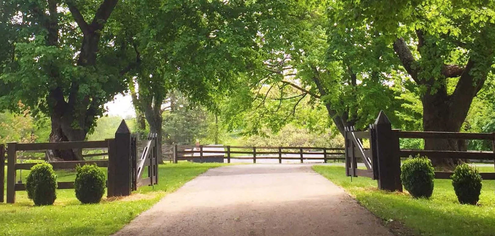 FEATURED FILM LOCATION: Foxfire Farm — LocationsHub