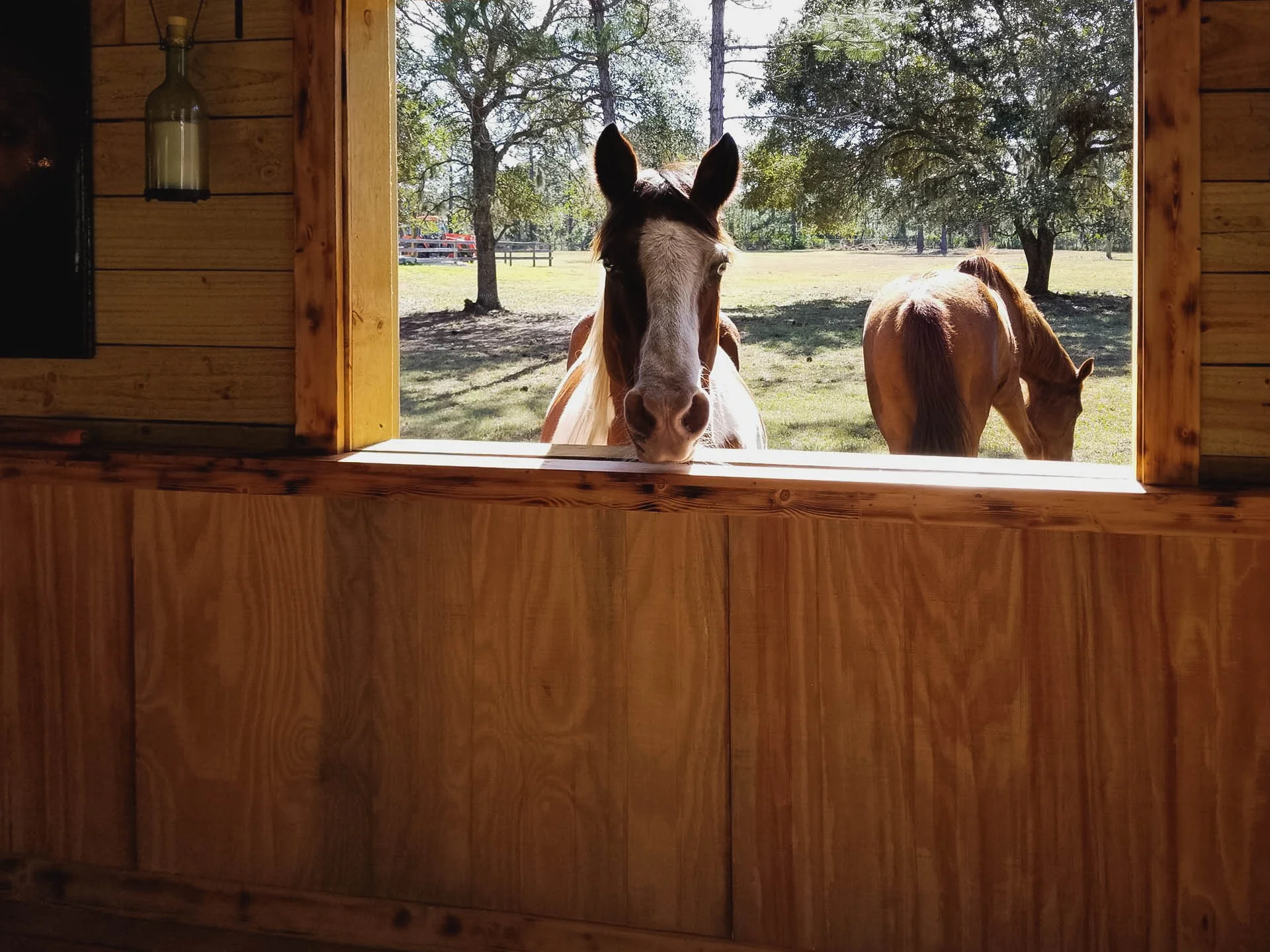 FEATURED FILMING LOCATION: Crestwood Circus Ranch — LocationsHub