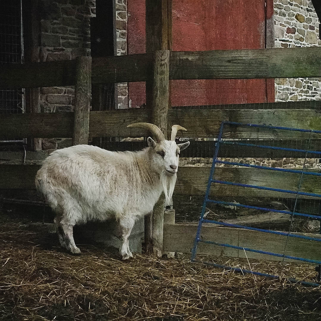 FEATURED FILMING LOCATION: New Harmony Farm — LocationsHub