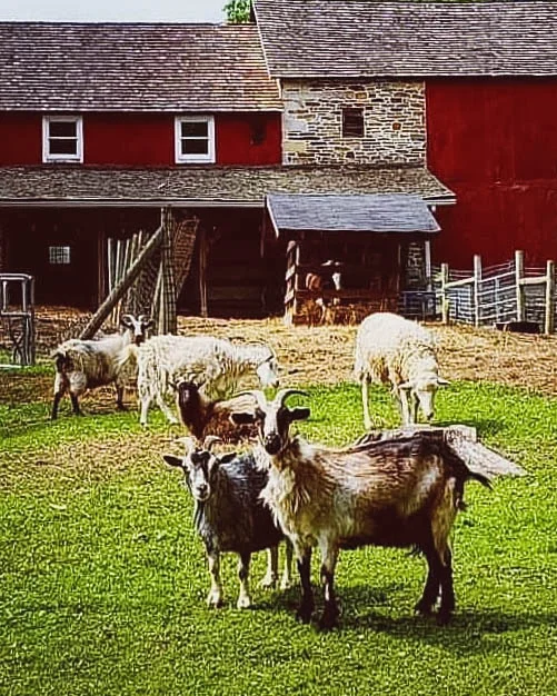 FEATURED FILMING LOCATION: New Harmony Farm — LocationsHub
