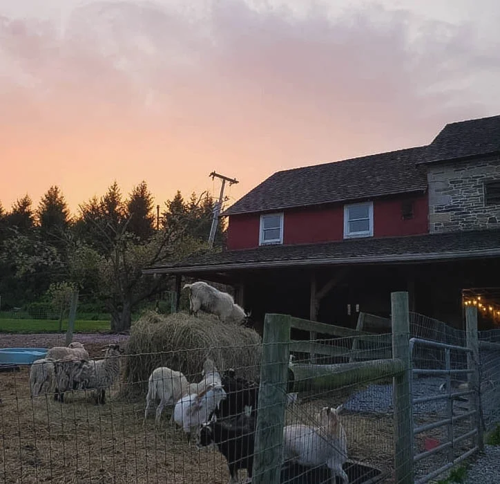 FEATURED FILMING LOCATION: New Harmony Farm — LocationsHub