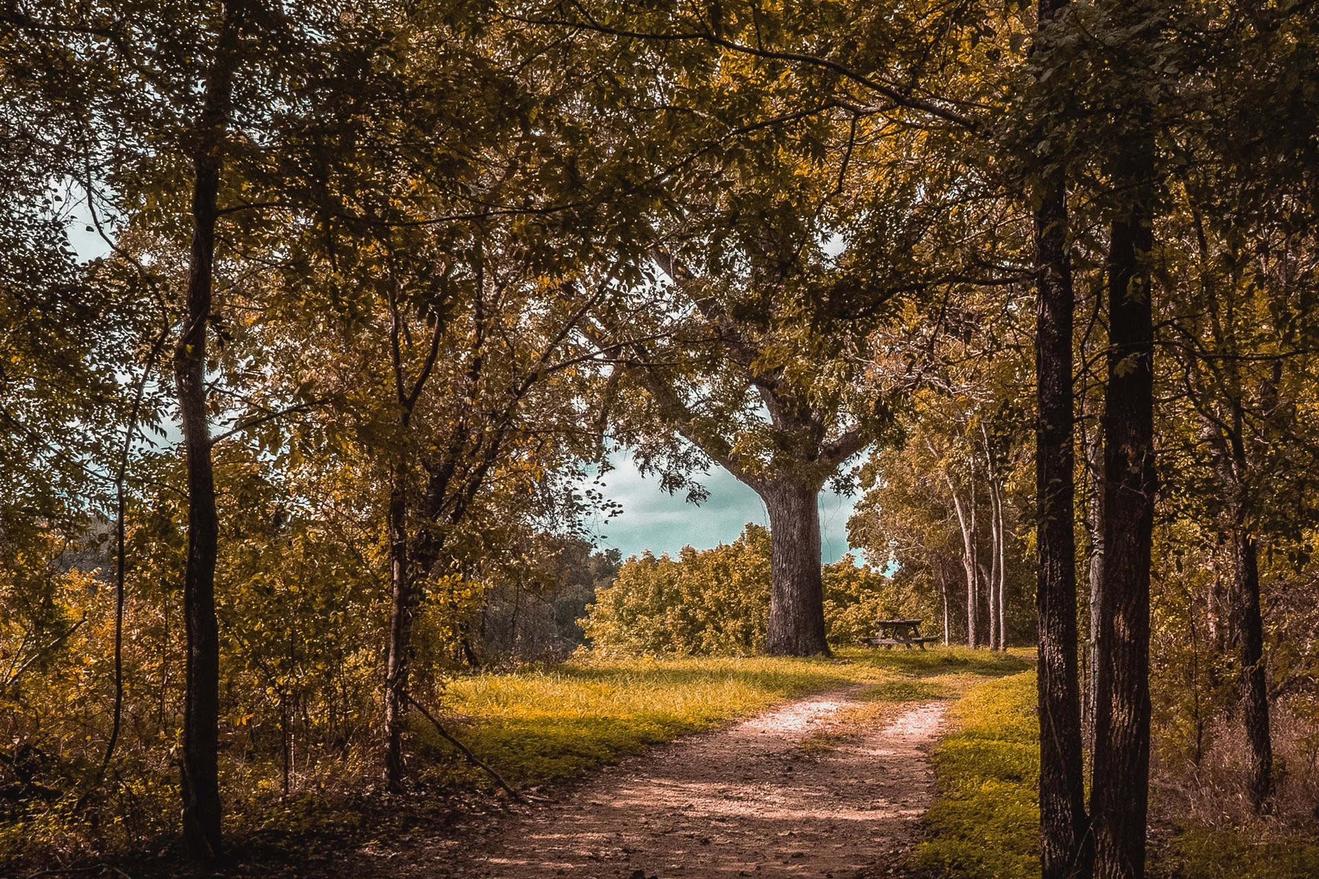 FEATURED FILMING LOCATION: New Republic Studios — LocationsHub