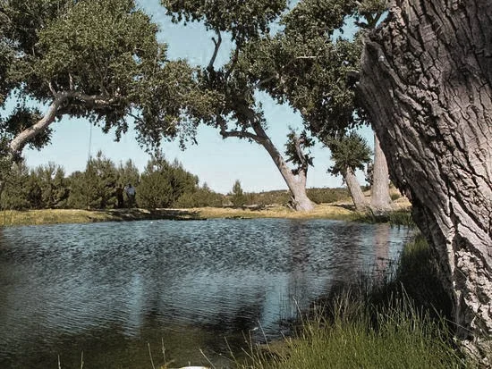 FEATURED FILMING LOCATION: Barrel Springs Ranch — LocationsHub