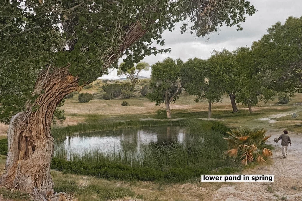 FEATURED FILMING LOCATION: Barrel Springs Ranch — LocationsHub