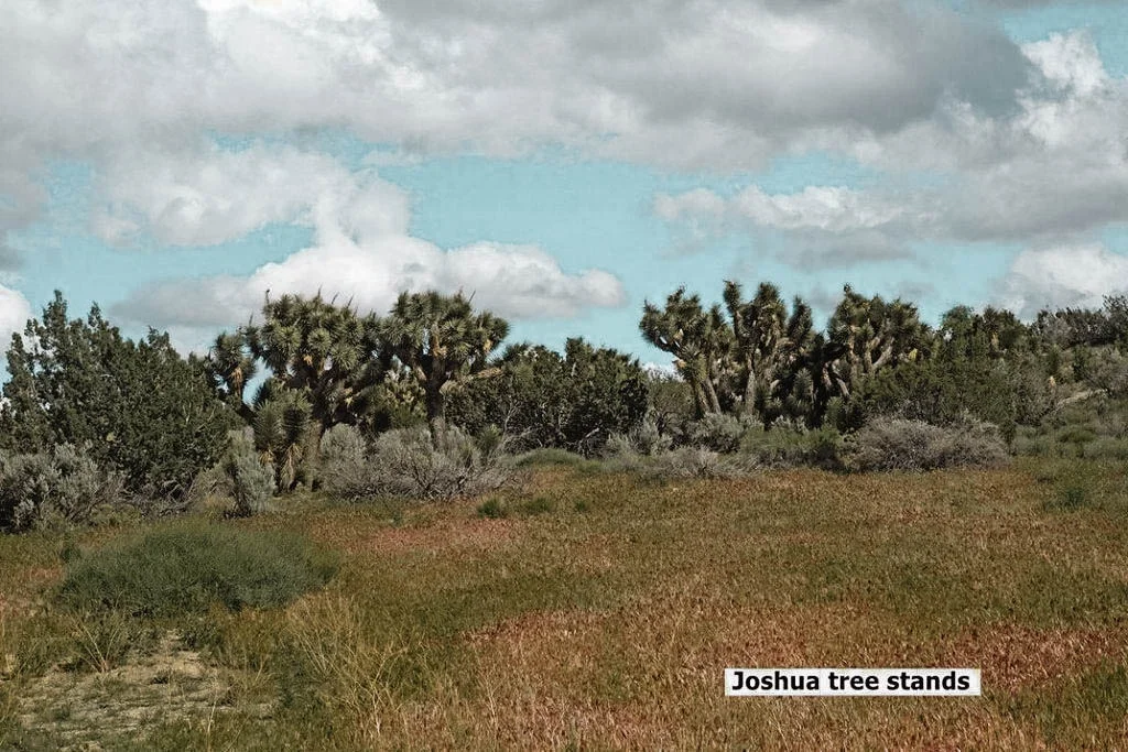 FEATURED FILMING LOCATION: Barrel Springs Ranch — LocationsHub