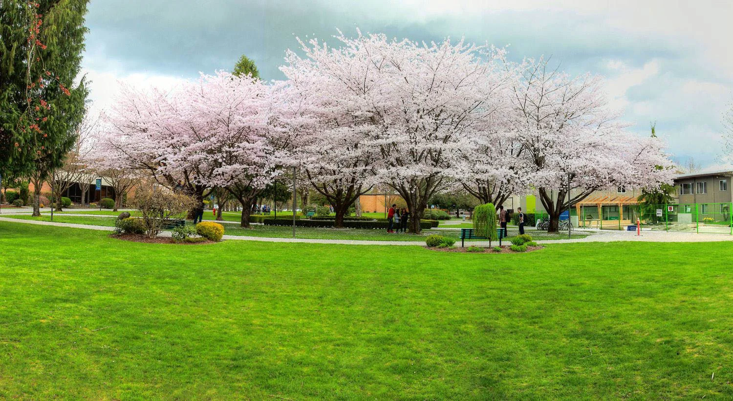 FEATURED FILMING LOCATION: Trinity Western University — LocationsHub