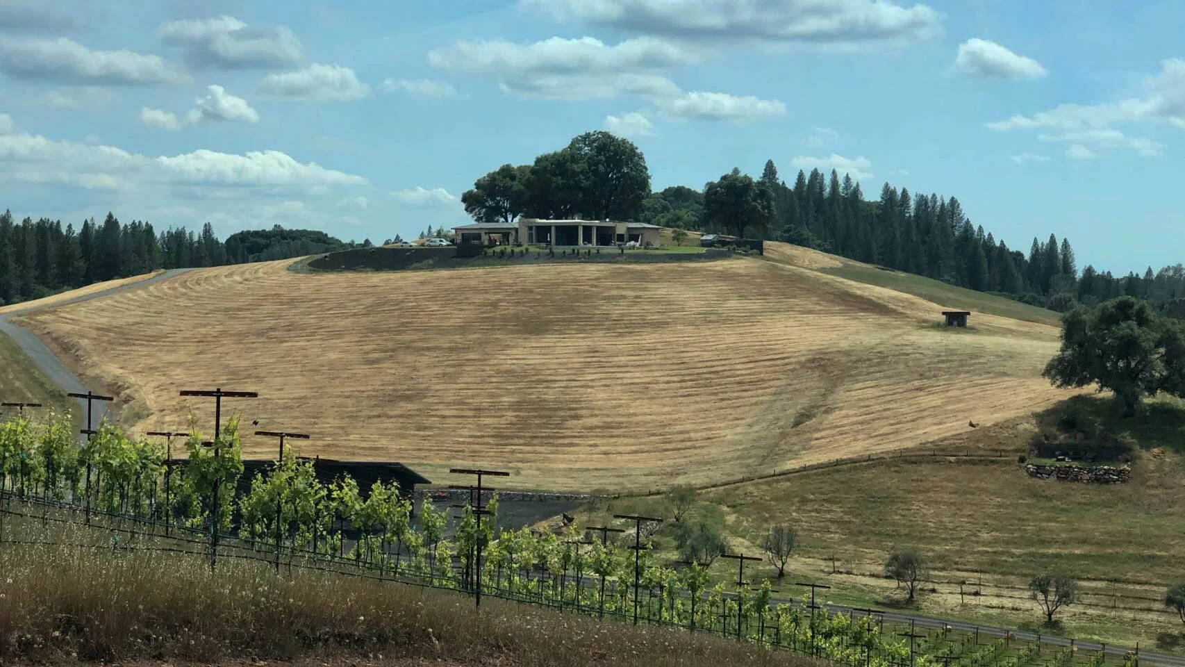 FEATURED FILMING LOCATION: Black Oak Mountain Vineyards — LocationsHub