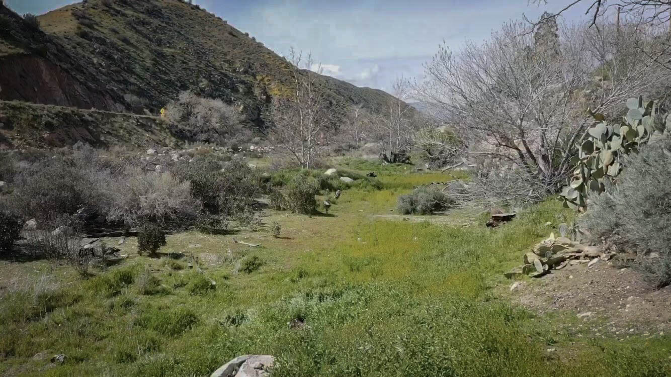 FEATURED FILMING LOCATION: Bloom Ranch of Acton — LocationsHub