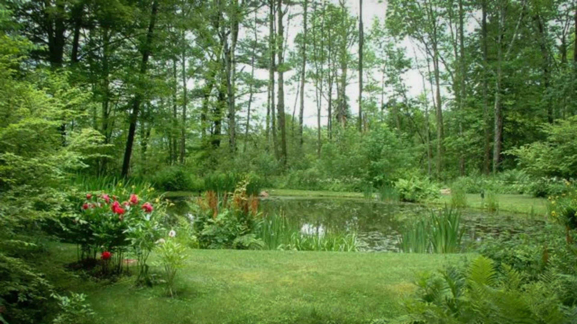FEATURED FILMING LOCATION: Santarella Estate — LocationsHub