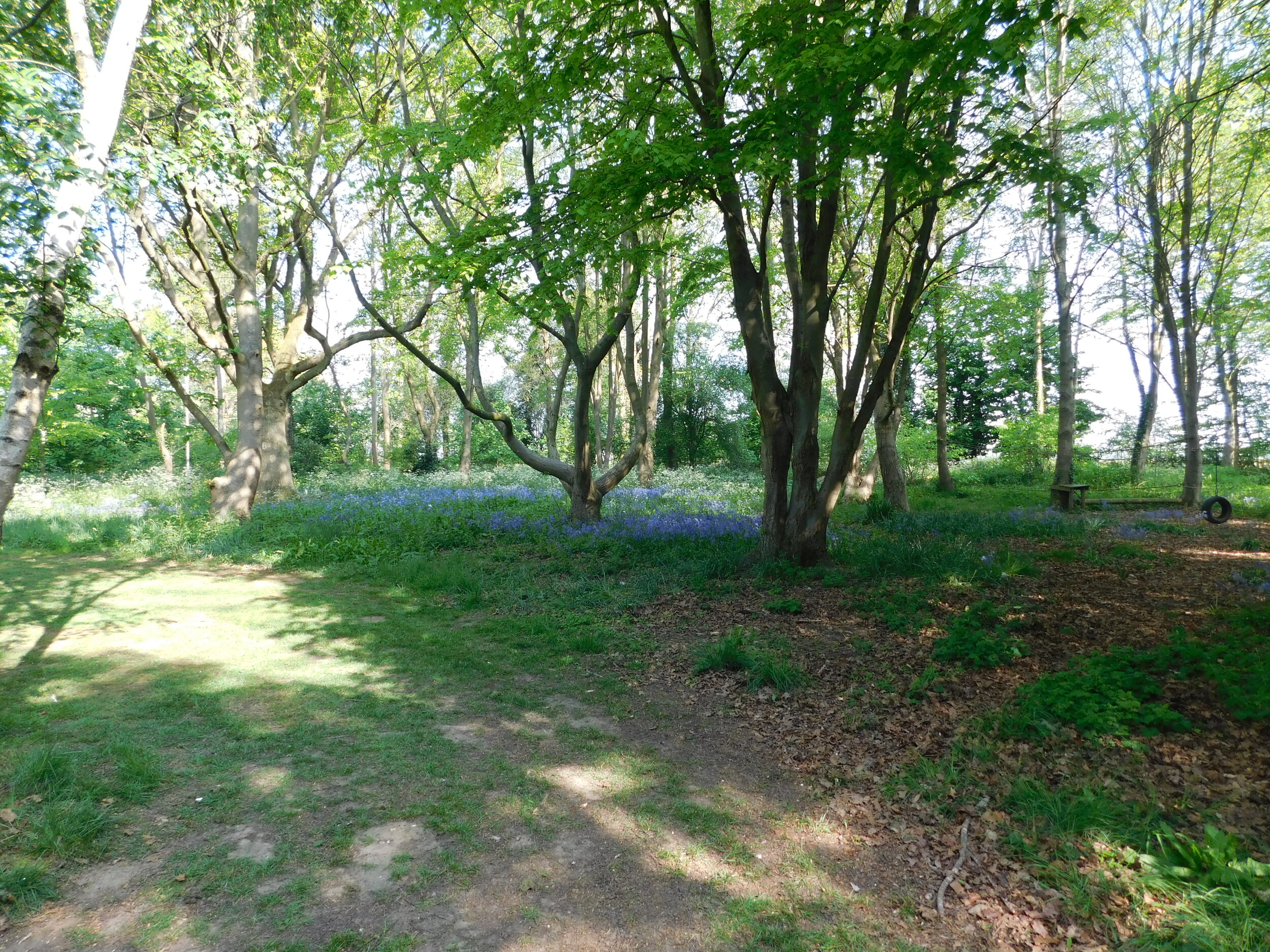 FEATURED FILMING LOCATION: Riddlesworth Hall School — LocationsHub