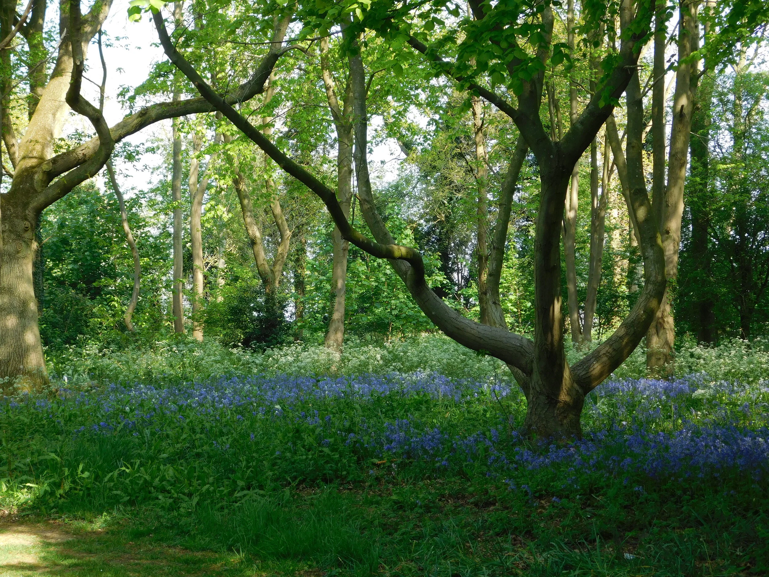 FEATURED FILMING LOCATION: Riddlesworth Hall School — LocationsHub