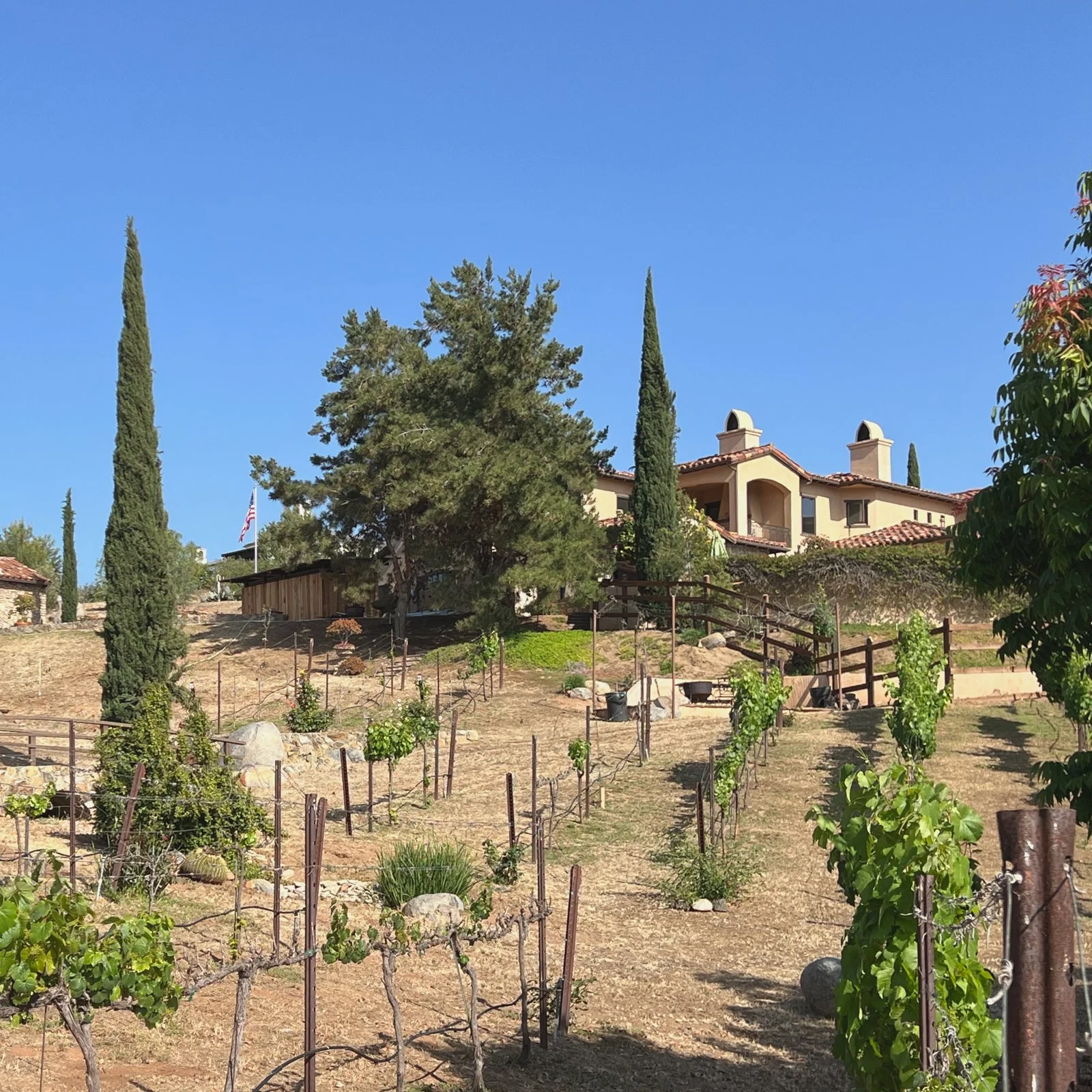 FEATURED FILM LOCATION: Stone Chapel Vineyards — LocationsHub