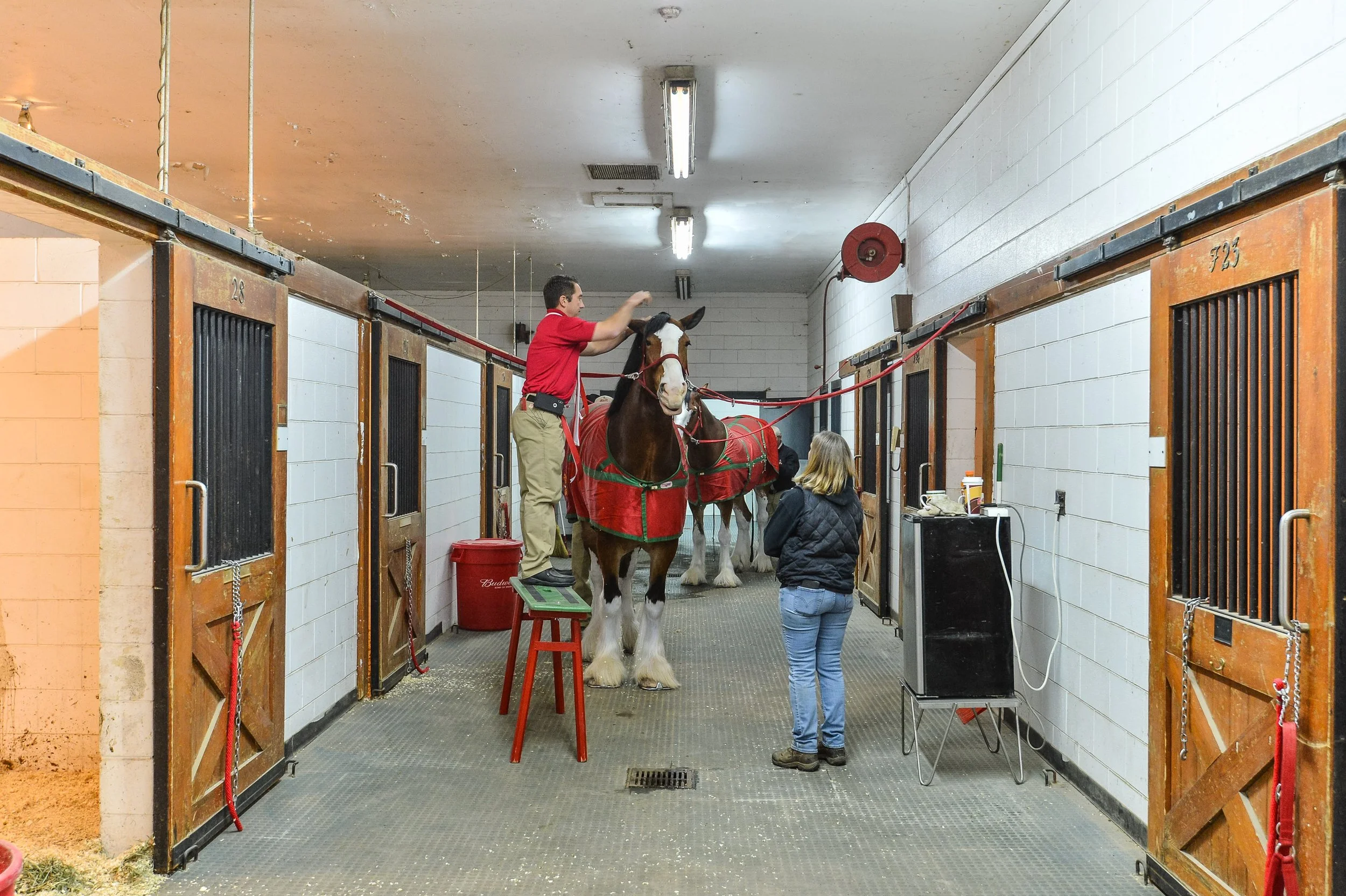 FEATURED FILM LOCATION: Highpointe Thoroughbred Farm & Training Center ...