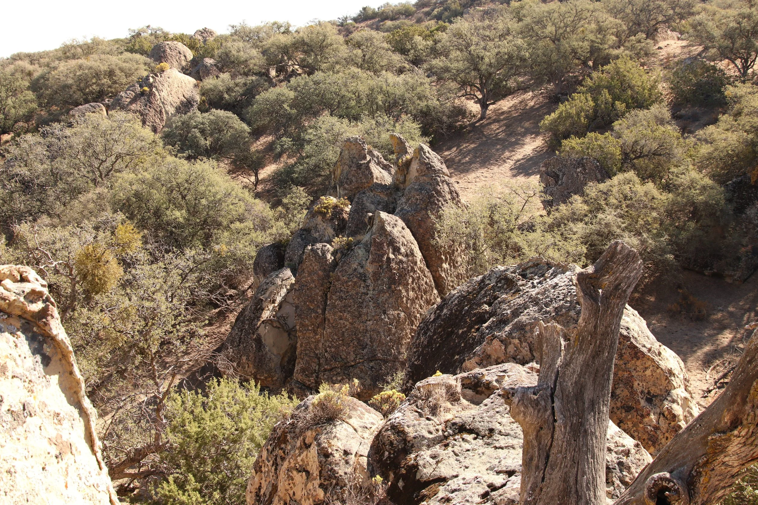 FEATURED FILM LOCATION: Twisselman Ranch — LocationsHub