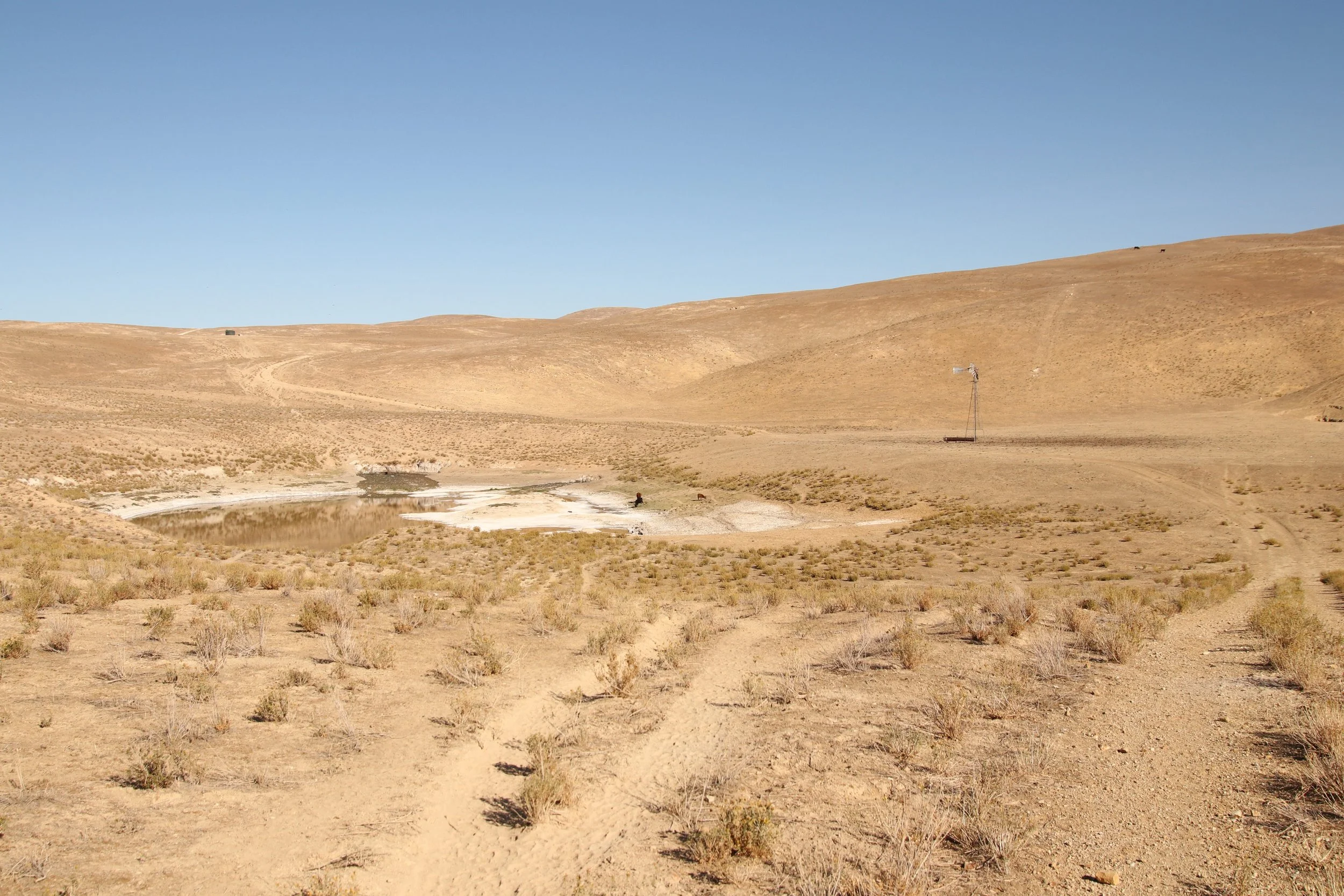 FEATURED FILM LOCATION: Twisselman Ranch — LocationsHub