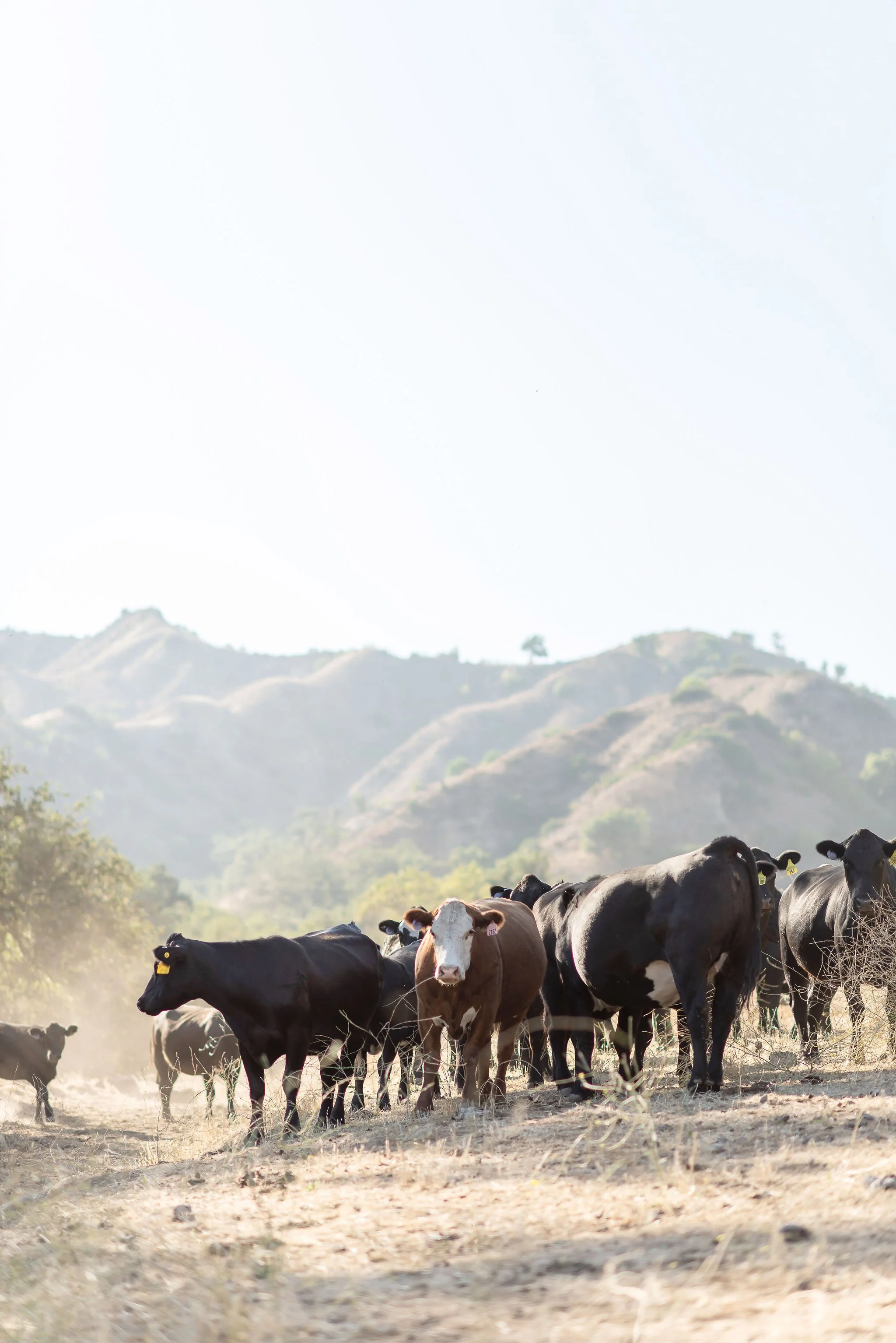 FEATURED FILM LOCATION: Sloan Ranch — LocationsHub