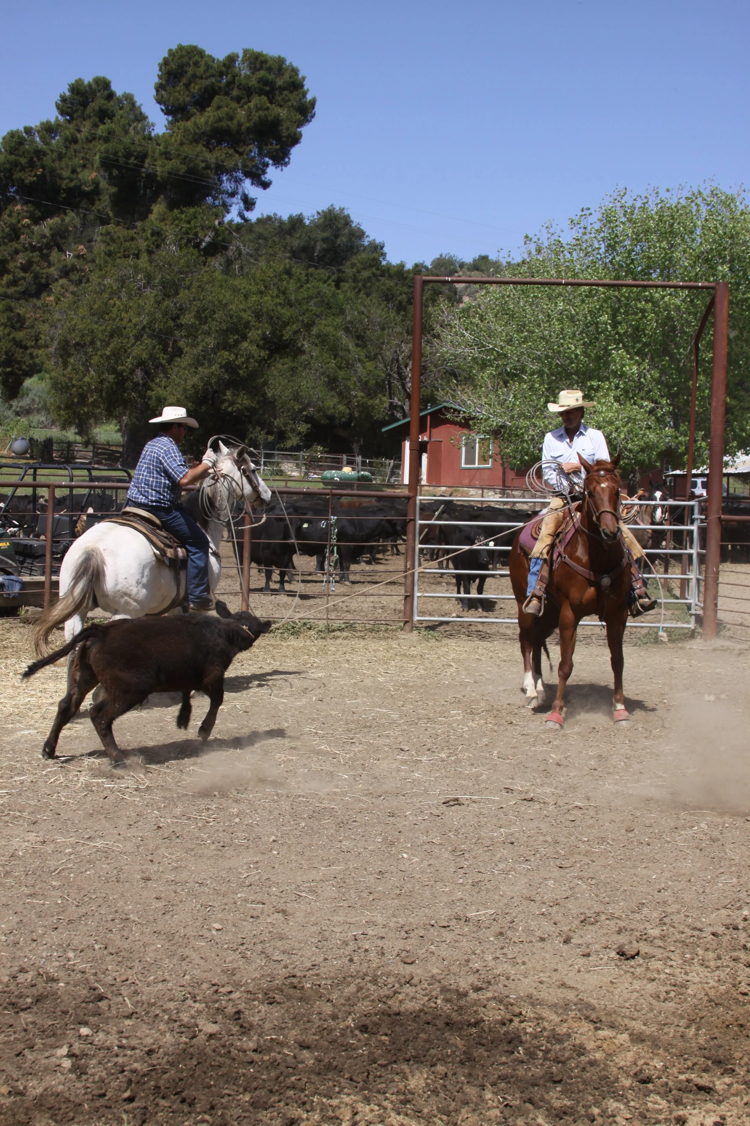 FEATURED FILM LOCATION: Sloan Ranch — LocationsHub