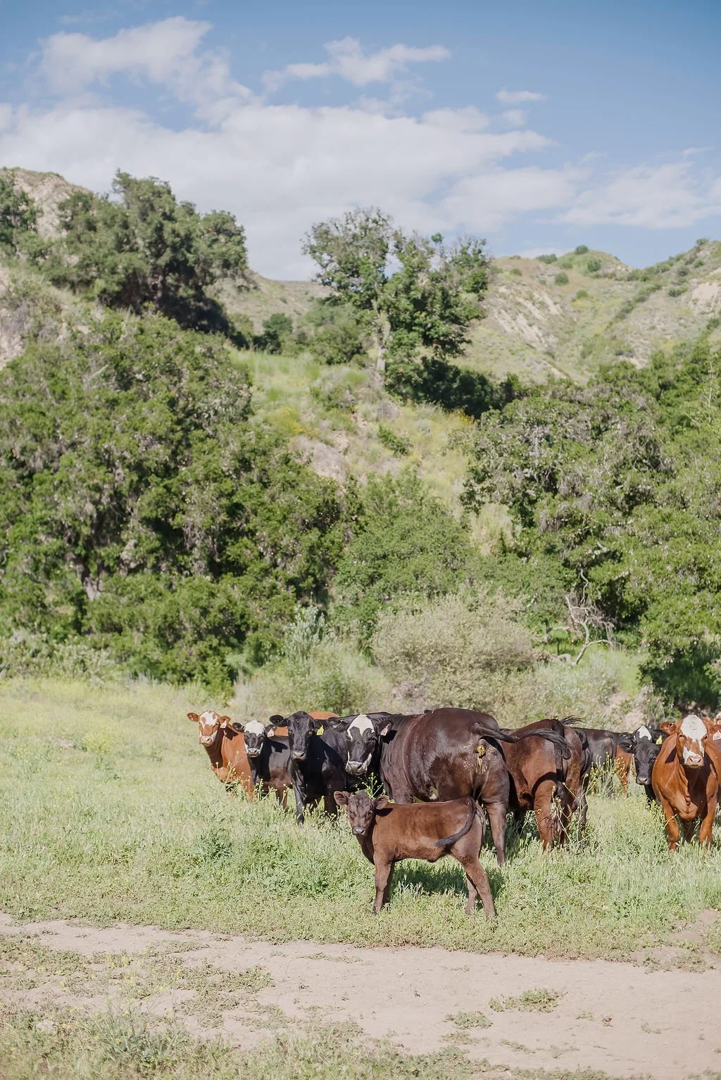 FEATURED FILM LOCATION: Sloan Ranch — LocationsHub