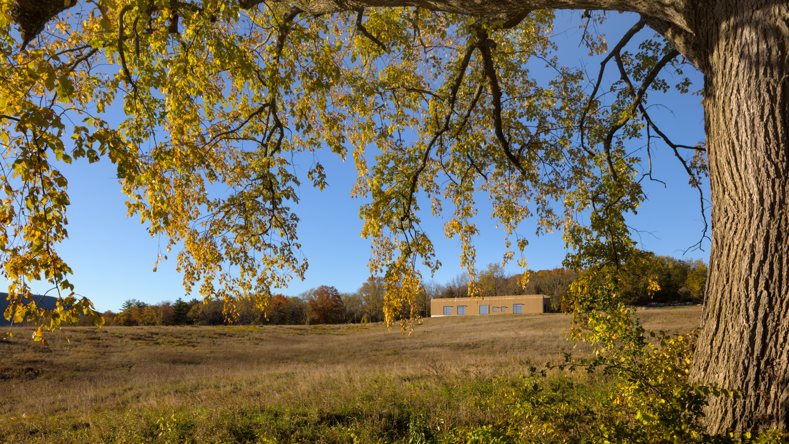 FEATURED FILM LOCATION: Strever Farm — LocationsHub