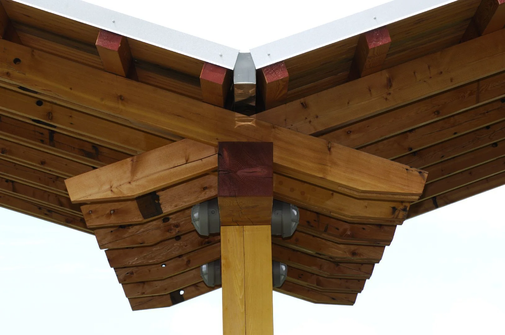 Timber Park Pavilion — Greg Robinson Architect