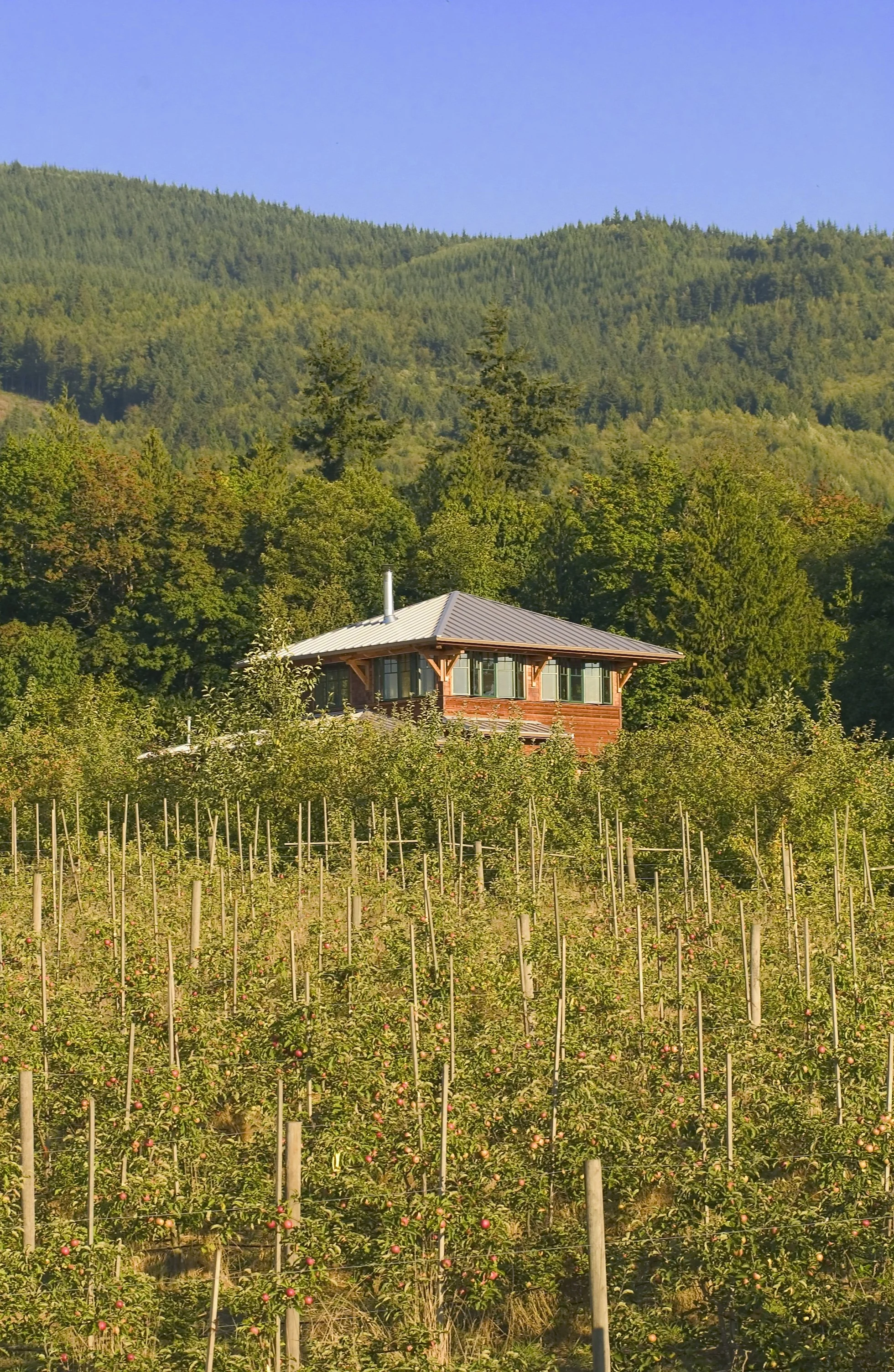 Orchard House — Greg Robinson Architect