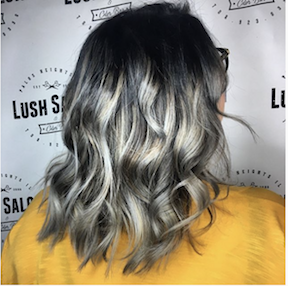 Lush Color Bar & Hair Salon Stylists Work