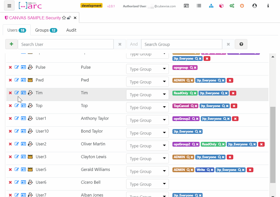 Deep Dive into the Arc TM1 Security Editor - Cubewise CODE