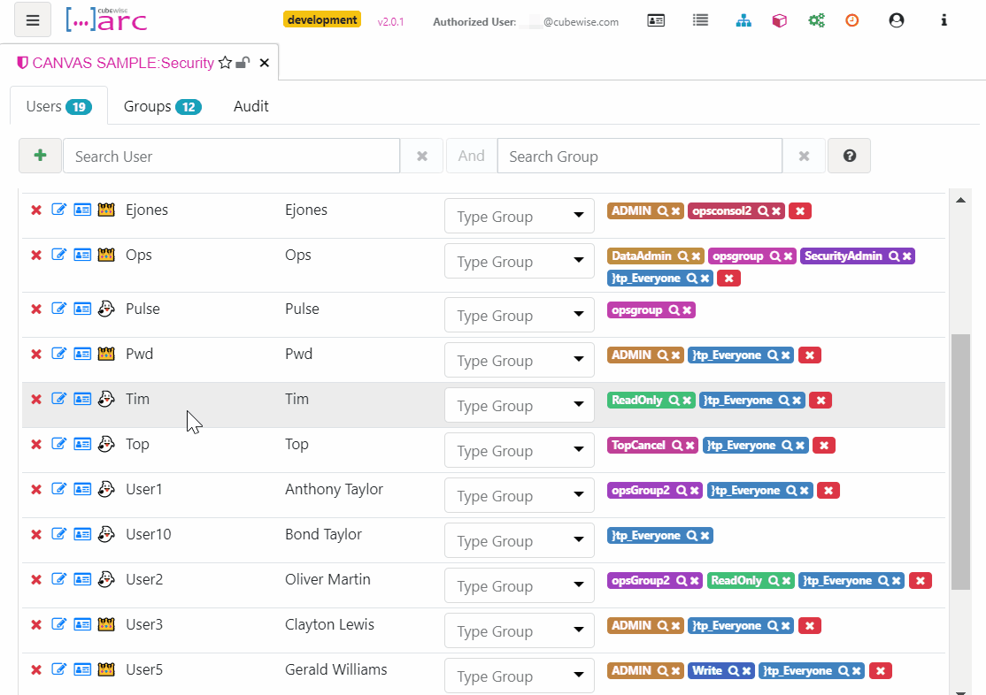 Deep Dive into the Arc TM1 Security Editor - Cubewise CODE
