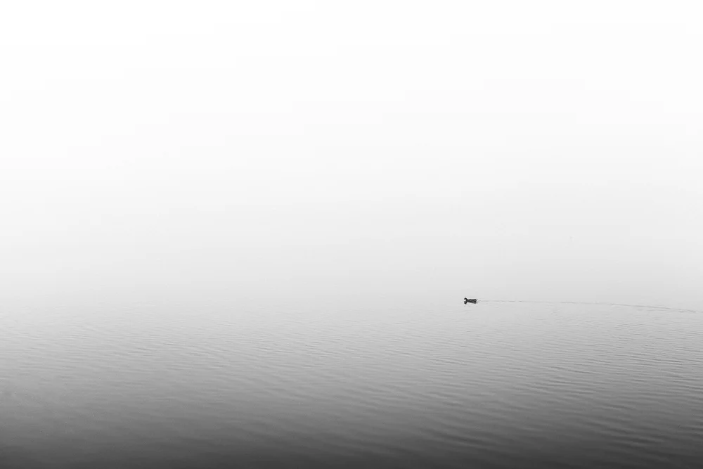 Black and White Photography - A Mini-Project — Jenny Harper Photography