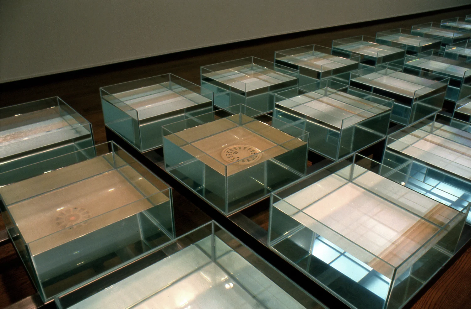 In Reflection — David Teeple