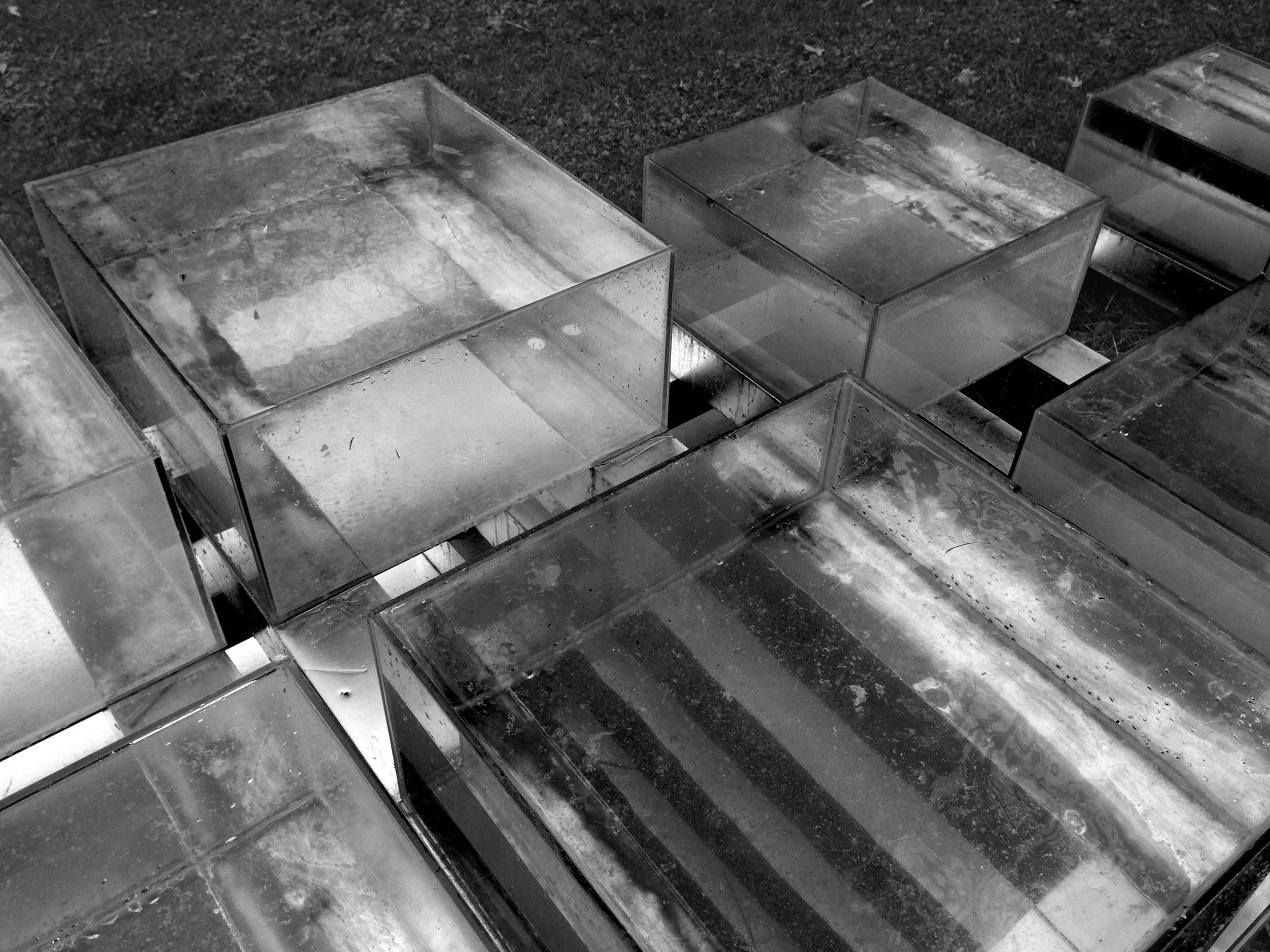 12 Cuboid Balance — David Teeple