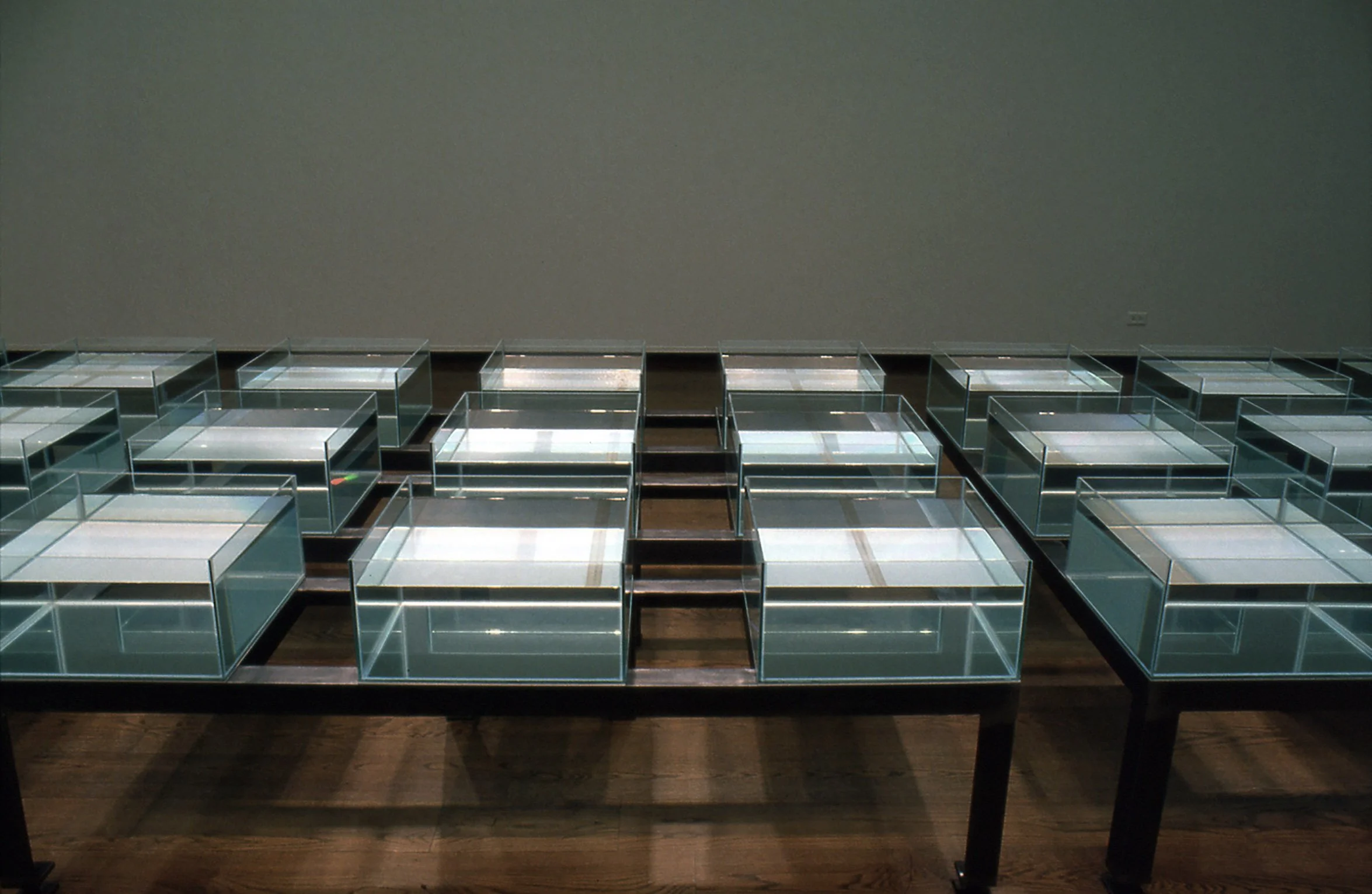 In Reflection — David Teeple