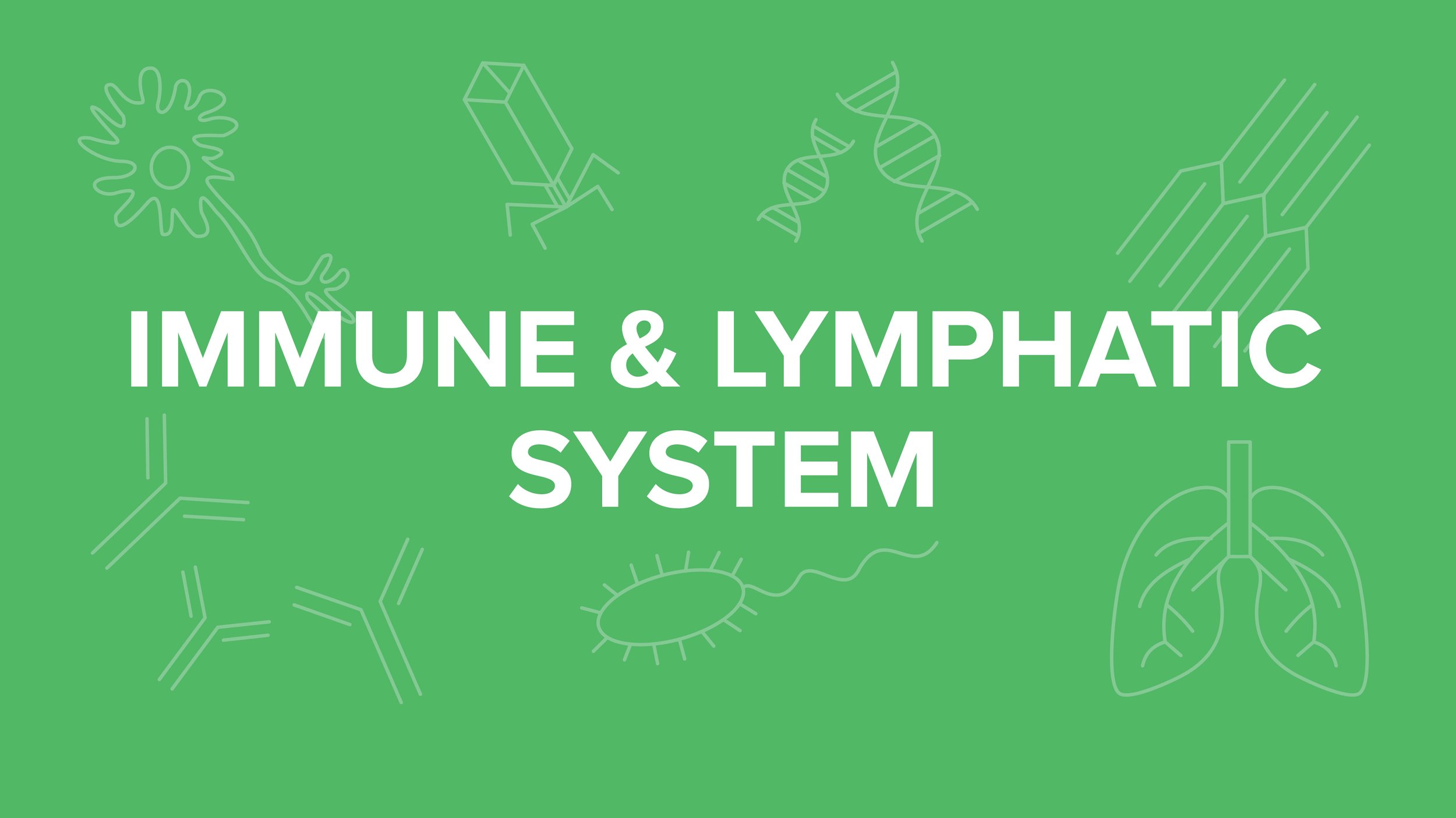 Immune And Lymphatic System For The Dat — Shemmassian Academic Consulting