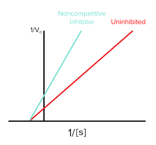 Enzymes for the MCAT: Everything You Need to Know — Shemmassian ...