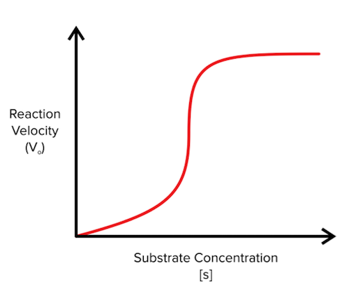 Enzymes for the MCAT: Everything You Need to Know — Shemmassian ...