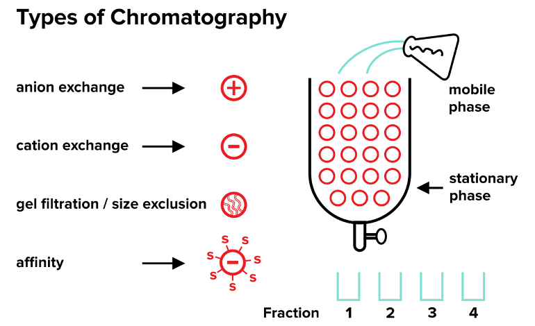 Biochemistry Lab Techniques for the MCAT: Everything You Need to Know ...
