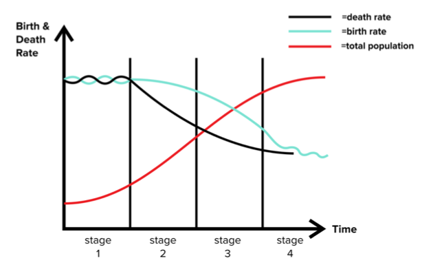 Social Inequality and Demographics for the MCAT: Everything You Need to ...